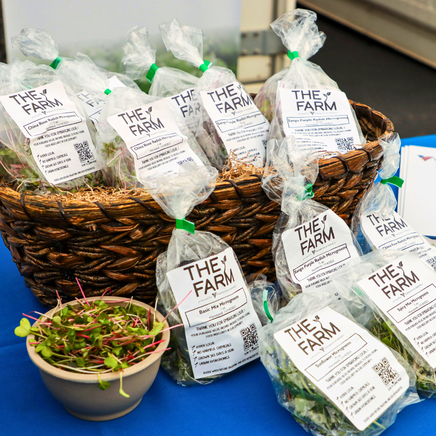 The Farm: Providing Produce from an Unexpected Place - VOA Upstate NY